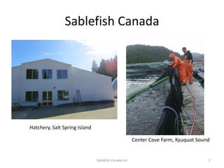 Sablefish - Linda Hiemstra | PDF