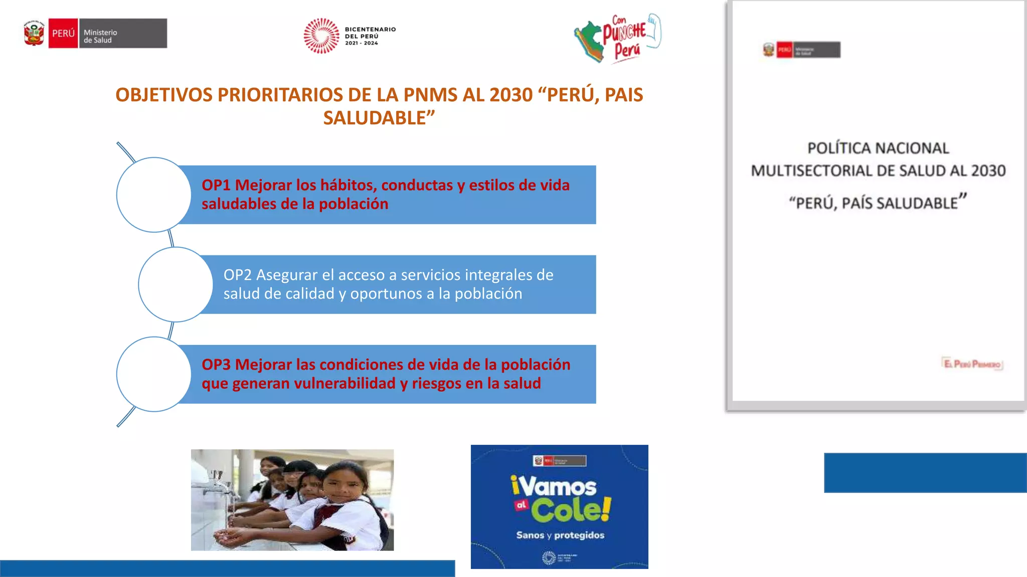 2 PNMS Y PEM (2).ppt
