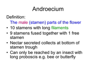 Chapter 16 Reproduction in Plants Lesson 2 - Pollination | PPT