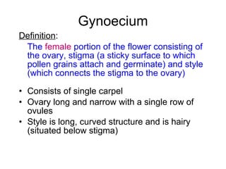 Chapter 16 Reproduction in Plants Lesson 2 - Pollination | PPT