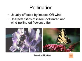 Chapter 16 Reproduction in Plants Lesson 2 - Pollination | PPT