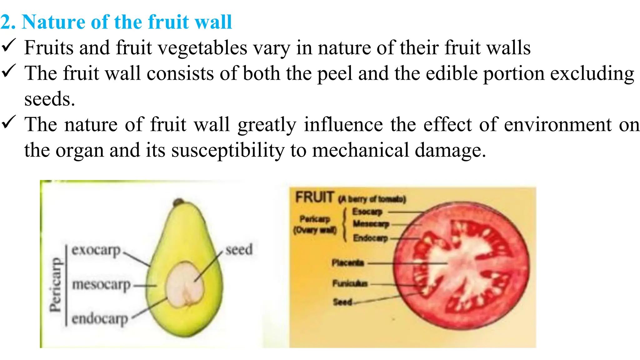 2 Post harvest Physiology of Horticulture produce.pptx