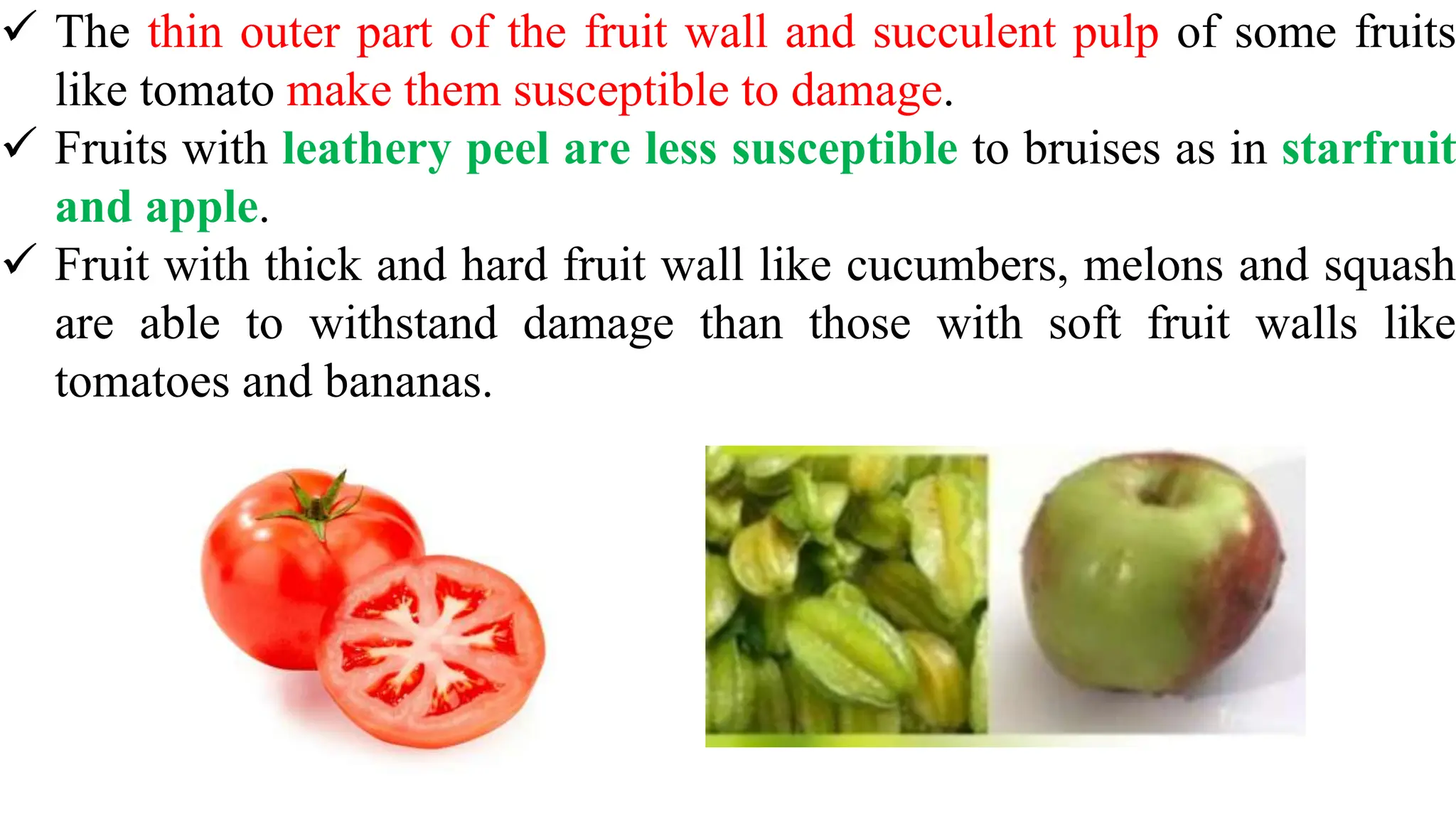 2 Post harvest Physiology of Horticulture produce.pptx