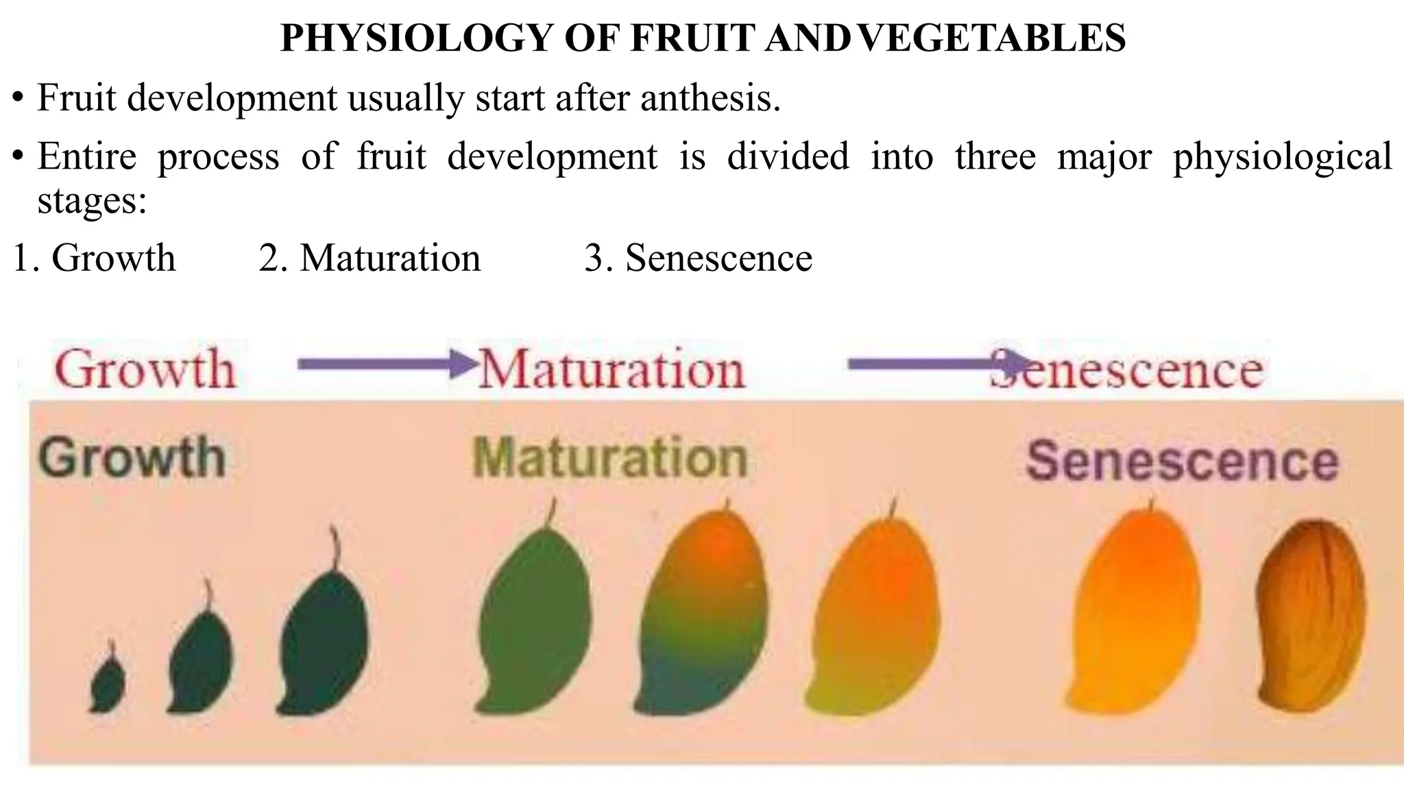 2 Post harvest Physiology of Horticulture produce.pptx