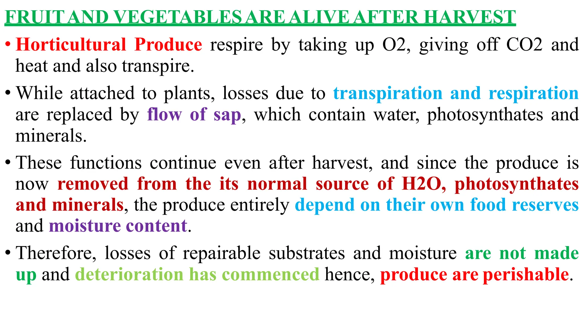 2 Post harvest Physiology of Horticulture produce.pptx