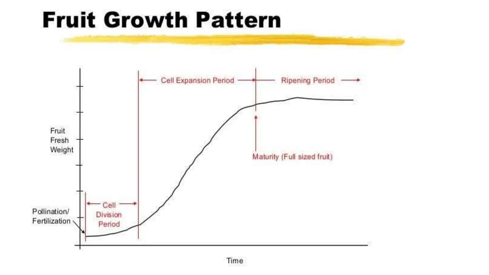 2 Post harvest Physiology of Horticulture produce.pptx