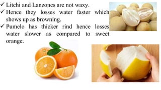 2 Post harvest Physiology of Horticulture produce.pptx