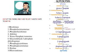 2 Post harvest Physiology of Horticulture produce.pptx