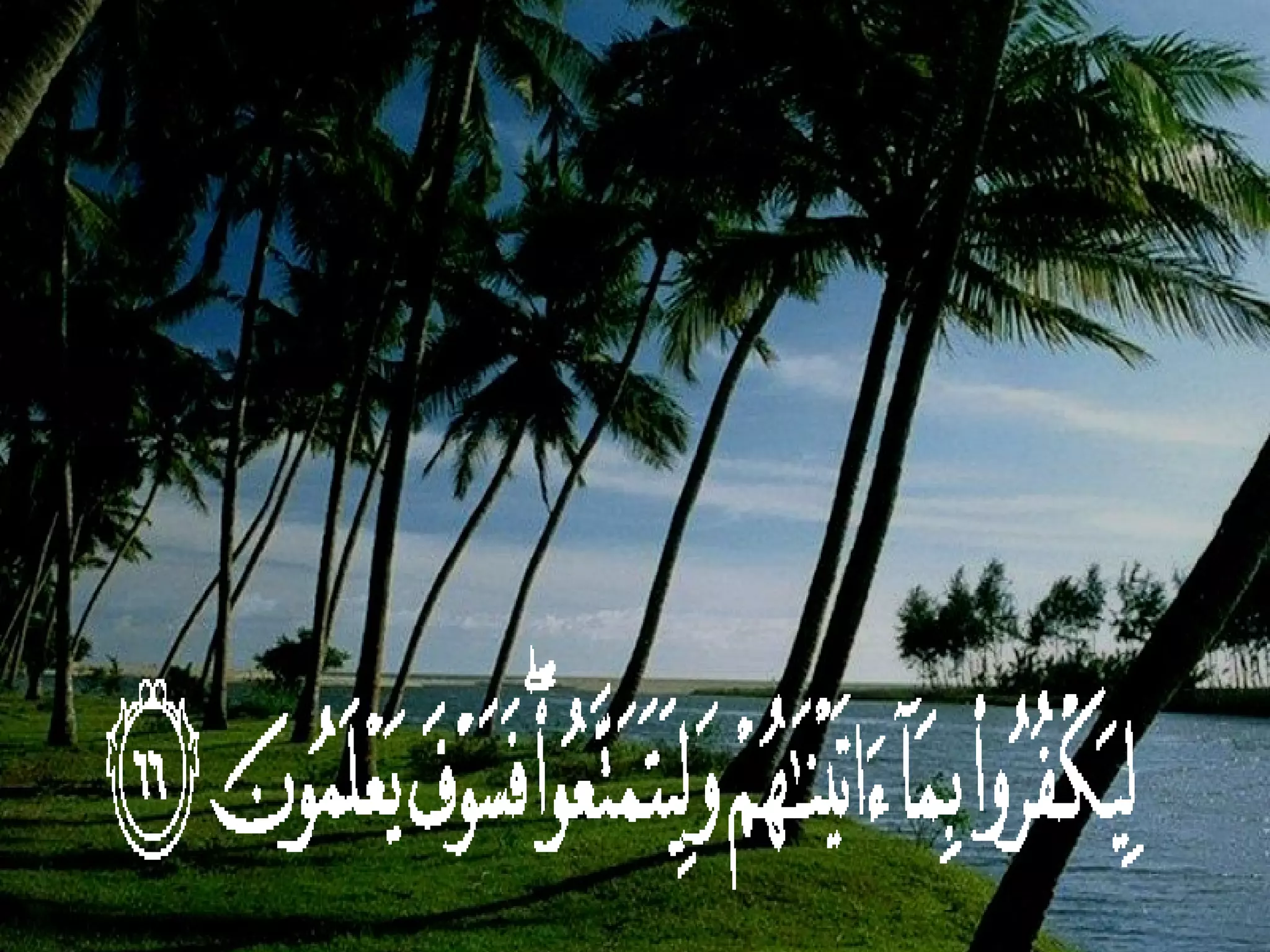surat Ankaboot Presentation | PPT