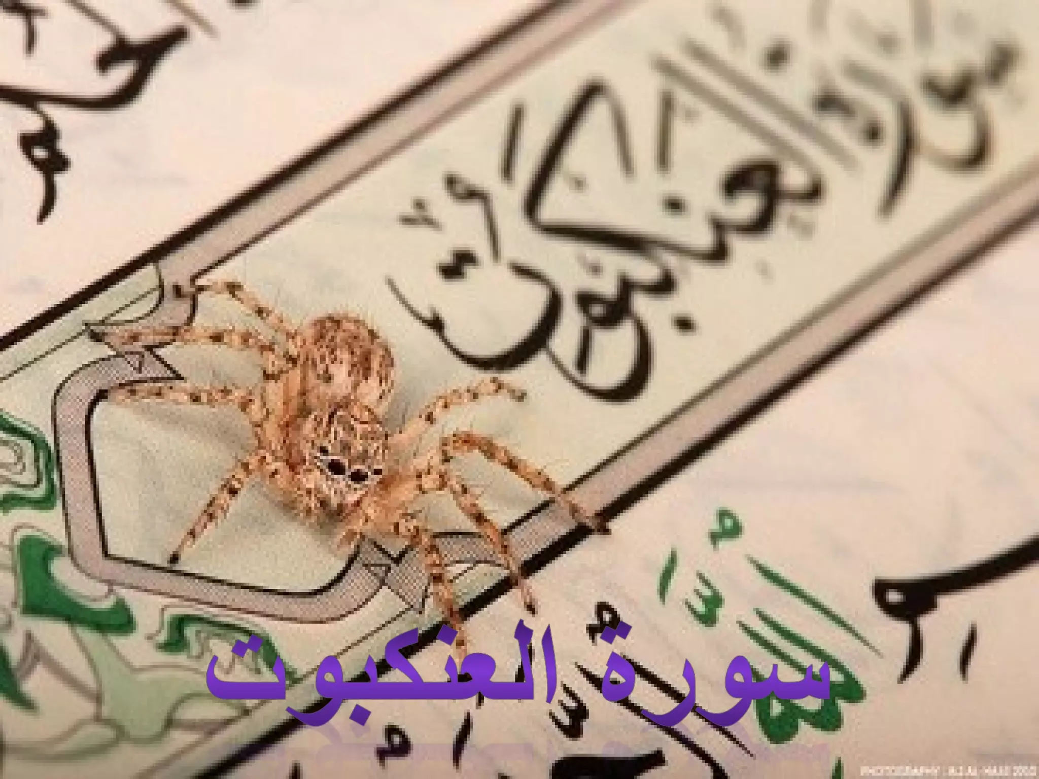 surat Ankaboot Presentation | PPT