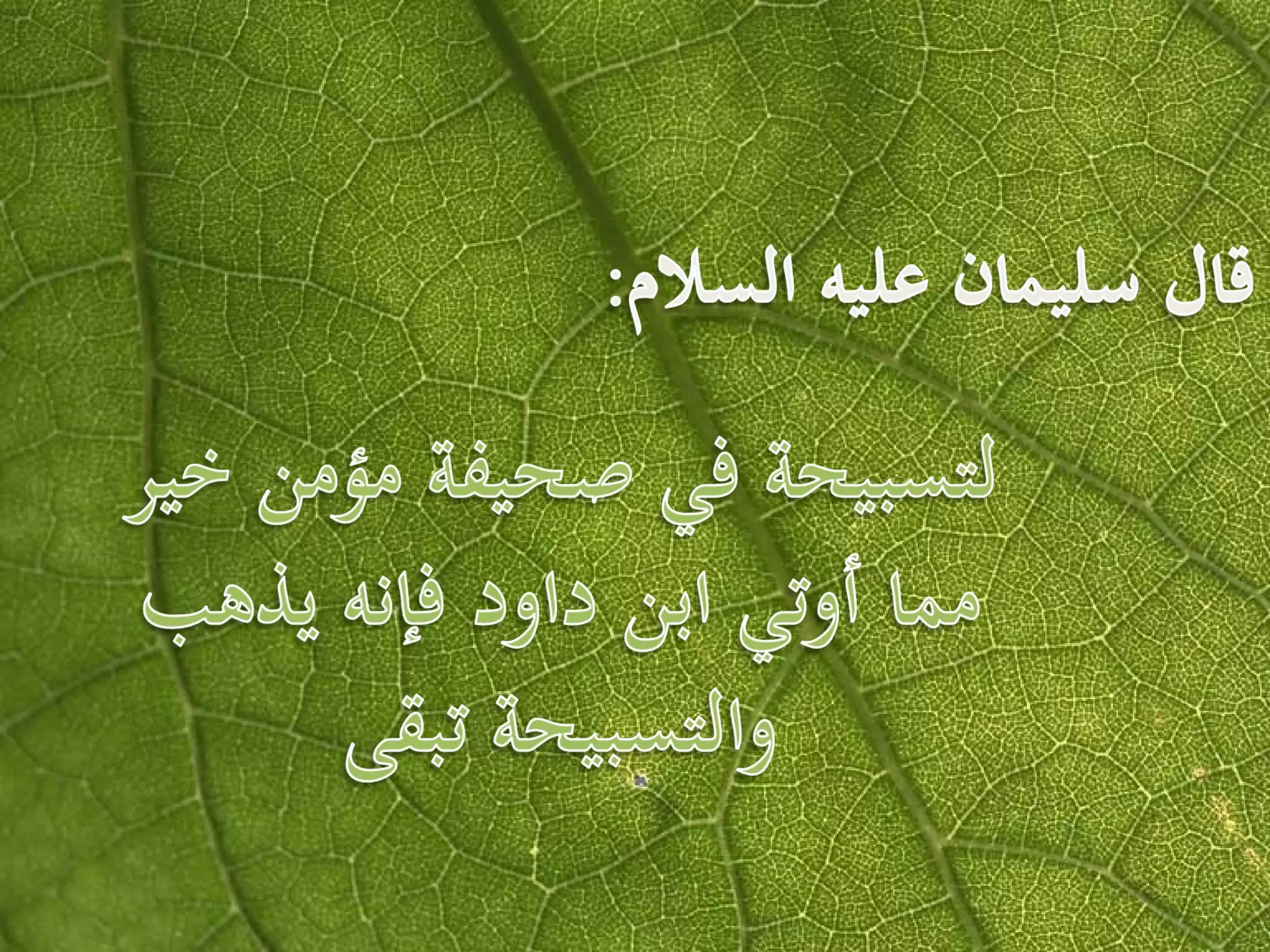 surat Ankaboot Presentation | PPT