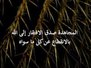 surat Ankaboot Presentation | PPT