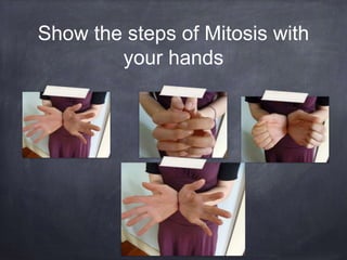 Mitosis 2 - Hira Zahid | PPT