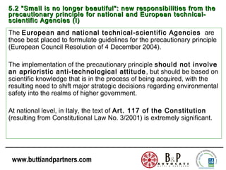 Precautionary principle | PPT