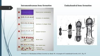 2 PRE NATAL & POST NATAL GROWTH OF THE mandible.pptx