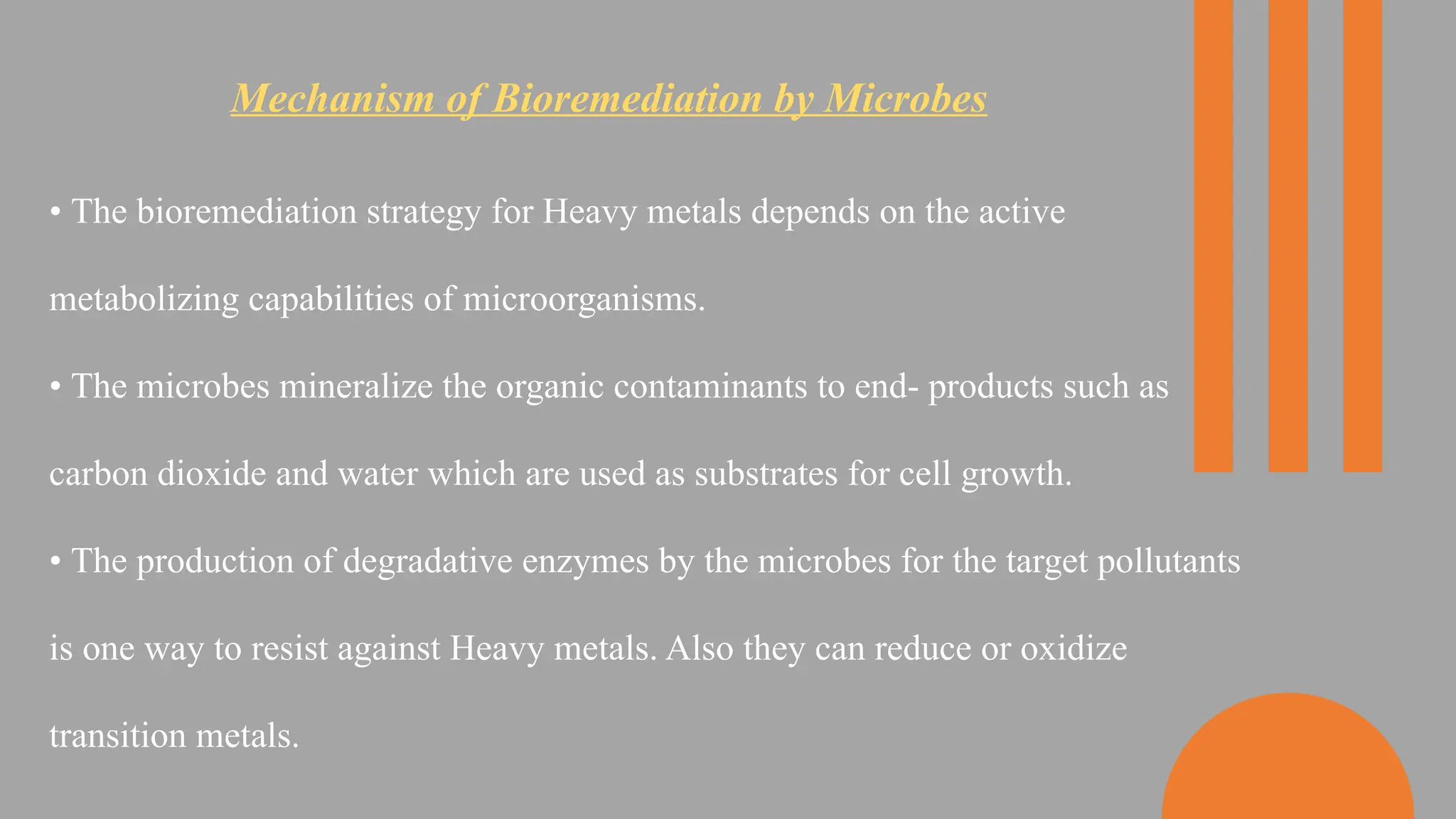 bioremediation presentation power point.pptx
