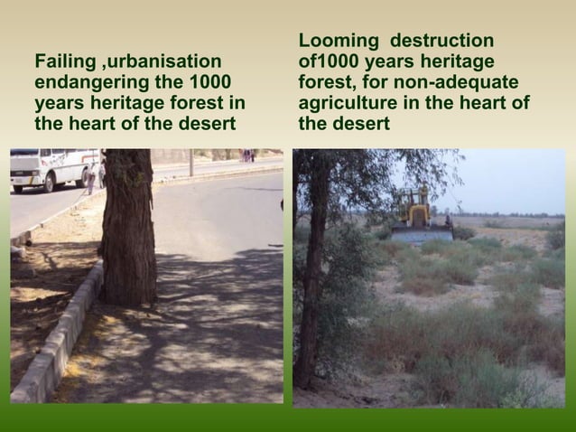 Desertification, Land Degradation and Drought | PPTX | Agriculture ...