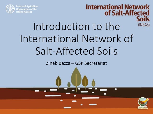 Introduction to the International Network of Salt-Affected Soils and update on the Global Soil ...