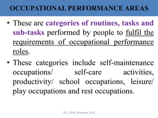 Occupational Performance Model- Old version | PPTX