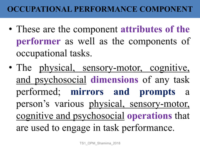 Occupational Performance Model- Old version | PPTX