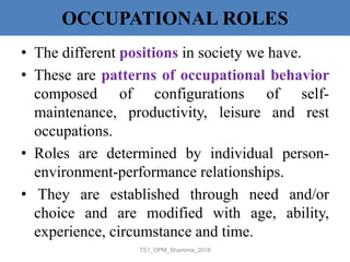 Occupational Performance Model- Old version | PPTX