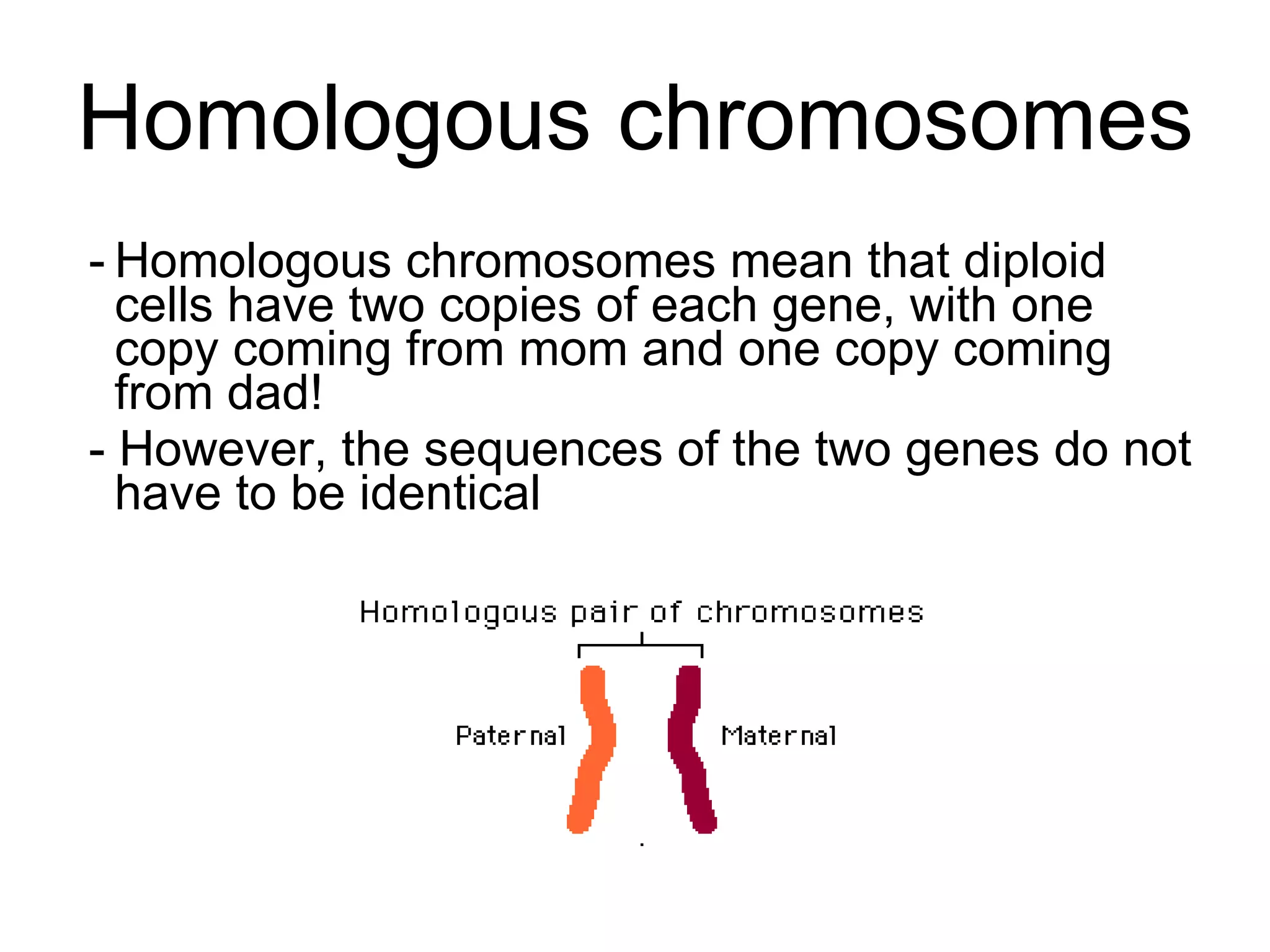 Chapter 19 Heredity Lesson 2 - Present day understanding on heredity ...