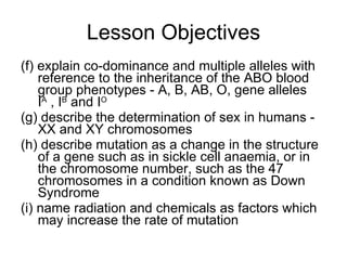 Chapter 19 Heredity Lesson 2 - Present day understanding on heredity based on Mendel’s ...
