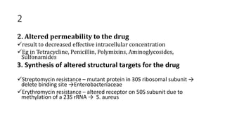 principle of antimicrobial agents and antibiotics | PPT