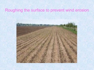 2 principles of wind erosion | PPT