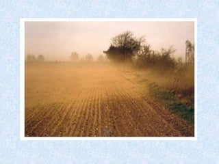 Soil Erosion By Wind