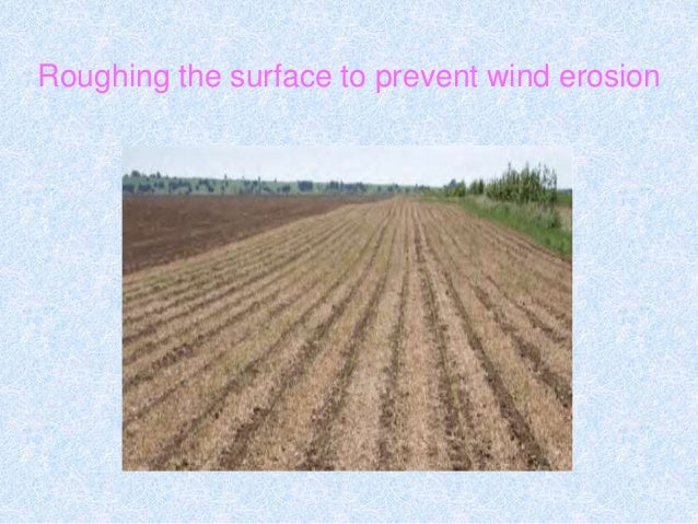 2 principles of wind erosion