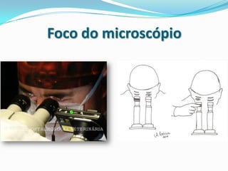 Princípios da microcirurgia ocular | PPTX