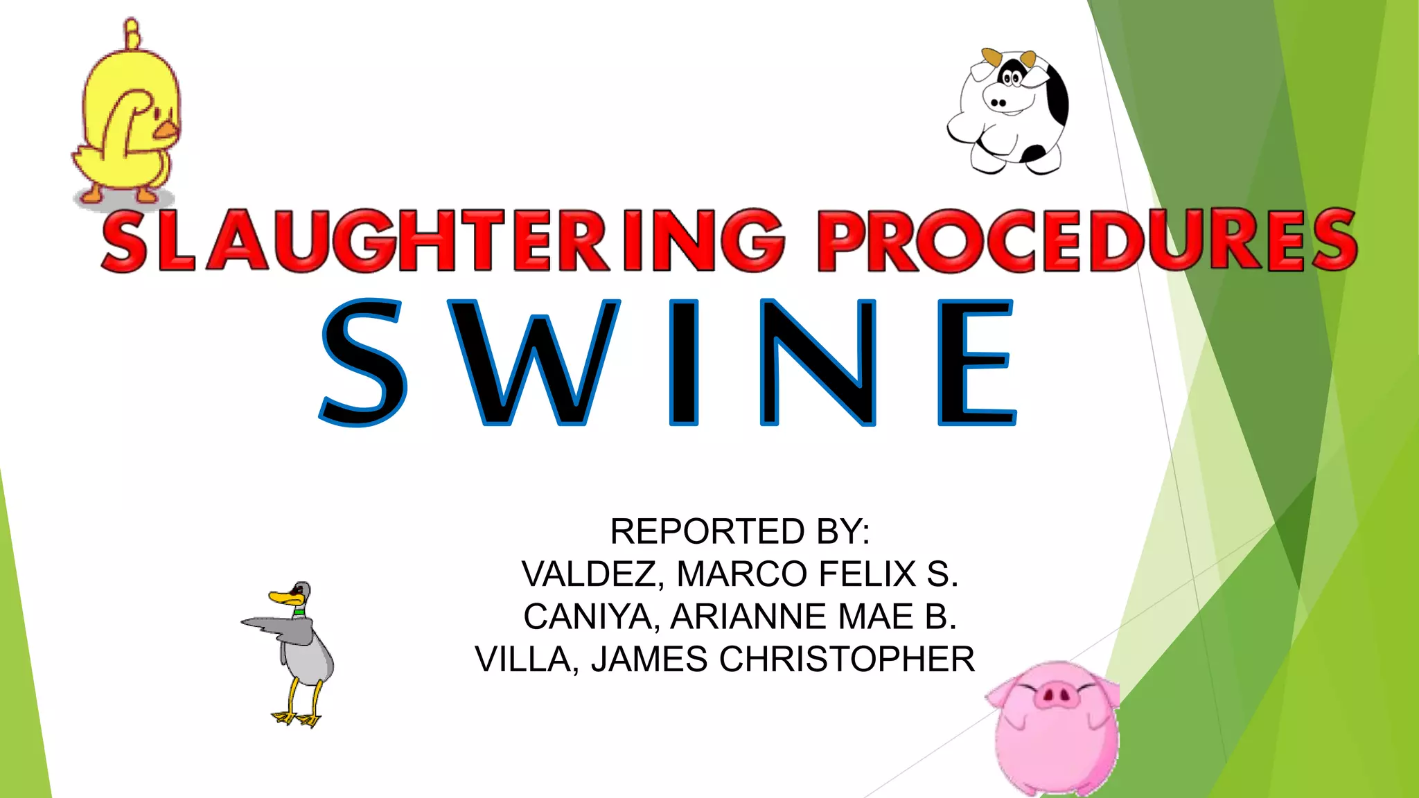 SLAUGHTERING PRACTICES OF SWINE | PPTX