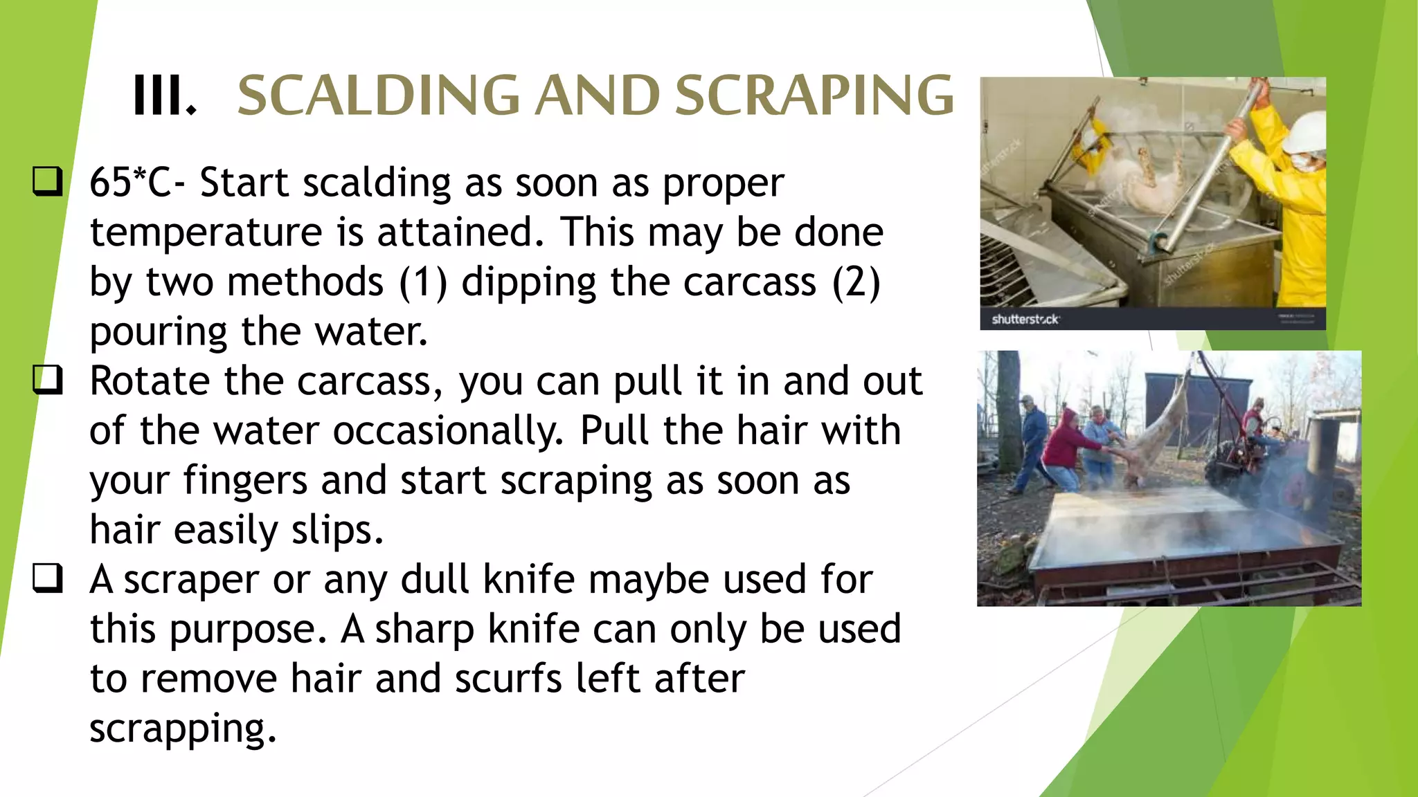 SLAUGHTERING PRACTICES OF SWINE | PPTX