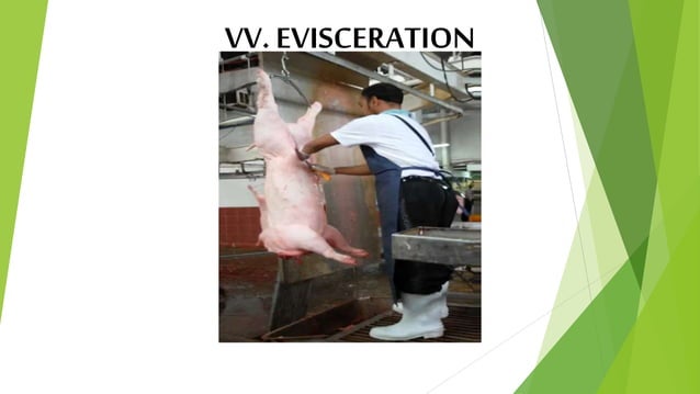 SLAUGHTERING PRACTICES OF SWINE | PPTX