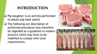 SLAUGHTERING PRACTICES OF SWINE | PPTX