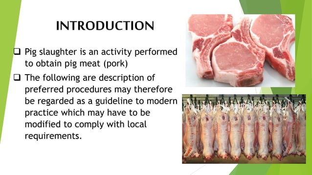 SLAUGHTERING PRACTICES OF SWINE | PPTX