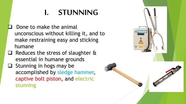 SLAUGHTERING PRACTICES OF SWINE | PPTX