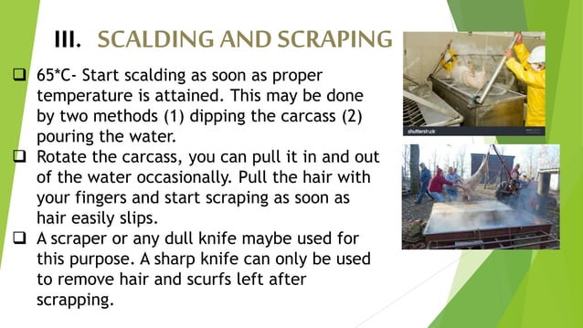 SLAUGHTERING PRACTICES OF SWINE | PPTX