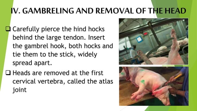 SLAUGHTERING PRACTICES OF SWINE | PPTX