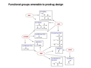prodrugs uses classification mechanism of action | PPT