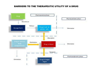 prodrugs uses classification mechanism of action | PPT | Chemistry ...