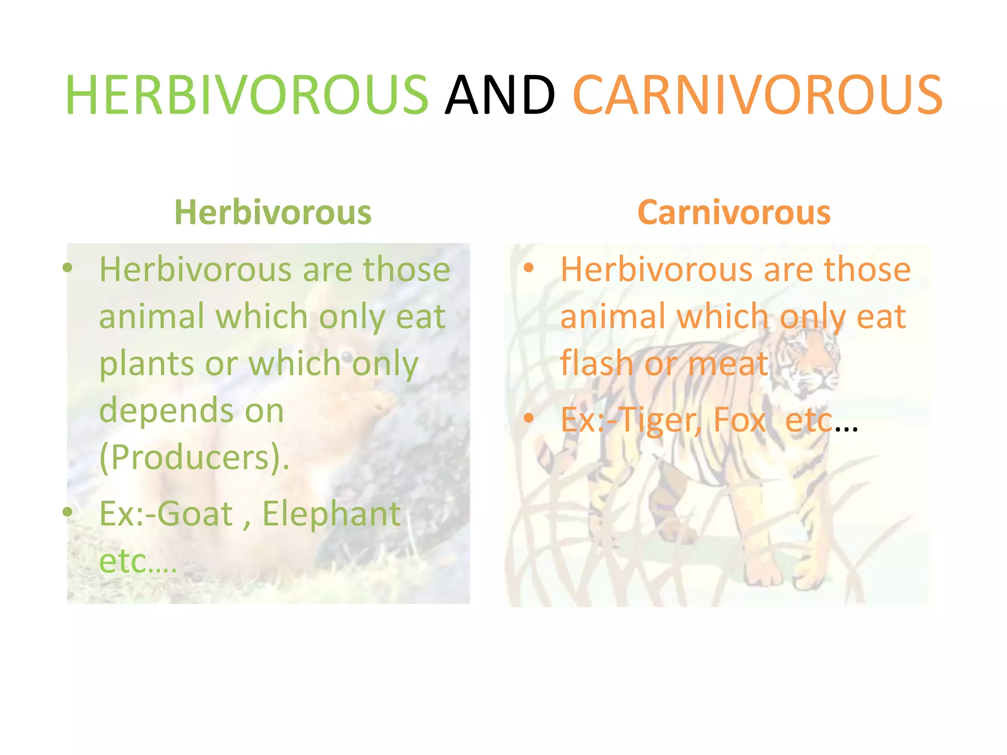 2 producers,consumers and decomposer1 | PPTX