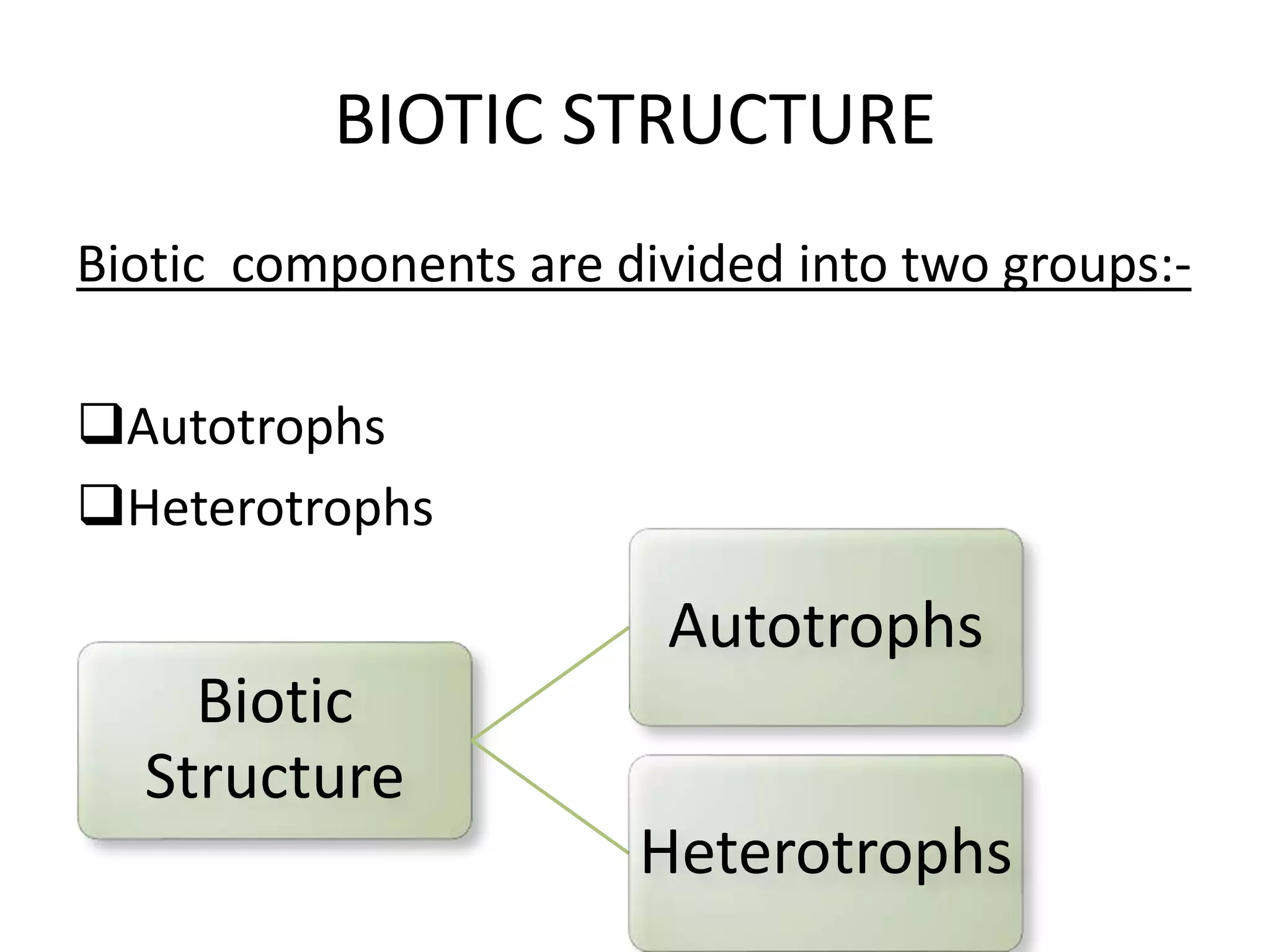 2 producers,consumers and decomposer1 | PPT