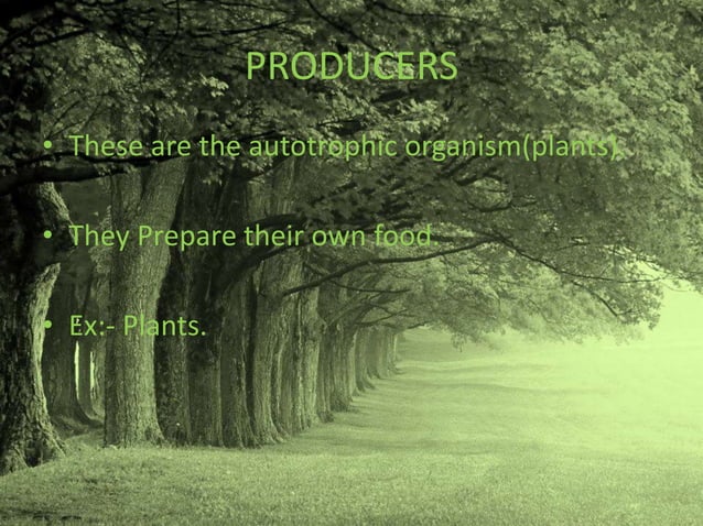 2 producers,consumers and decomposer1 | PPT