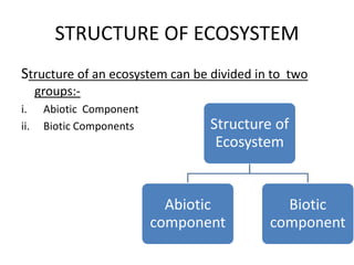 2 producers,consumers and decomposer1 | PPTX