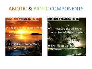 2 producers,consumers and decomposer1 | PPTX