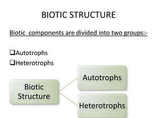 2 producers,consumers and decomposer1 | PPTX