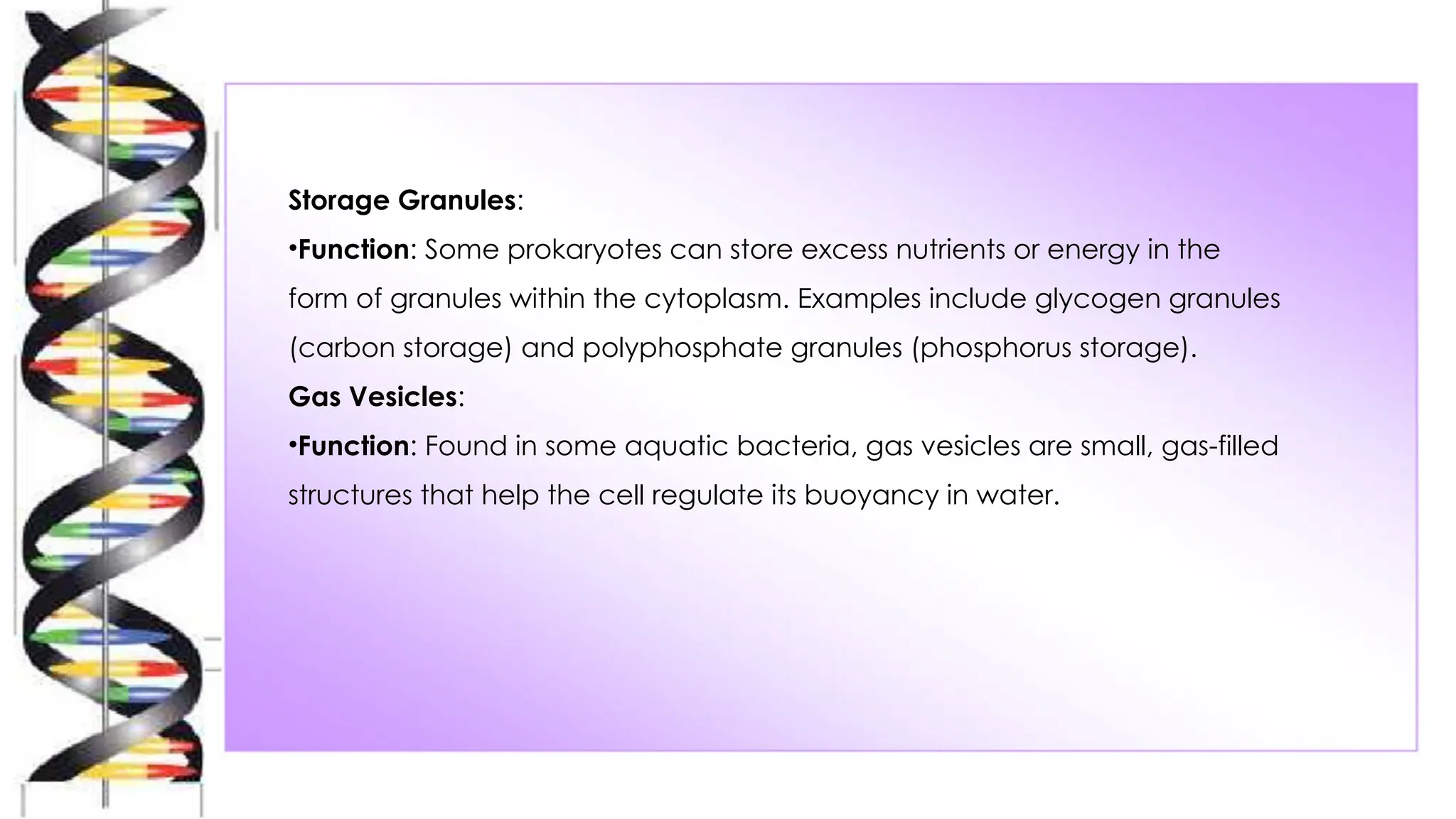 CELL BIOLOGY AND GENETICS-Prokaryotic Cell.pptx