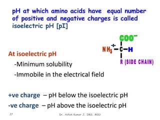 Protein 2 Chemistry of amino acida by Dr Ashok Kumar J | PPT